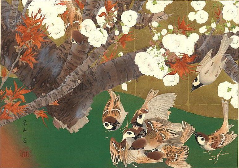 Rakusan.net home articles gallery links contact