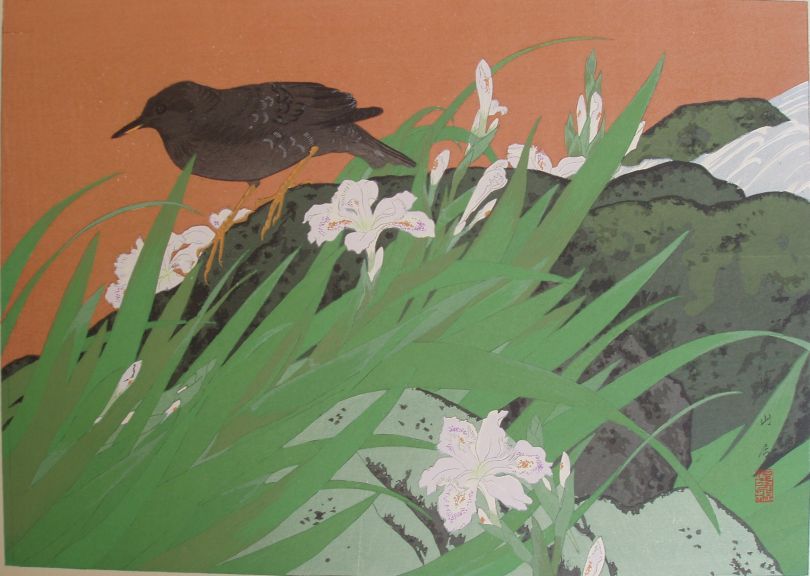 Rakusan.net home articles gallery links contact