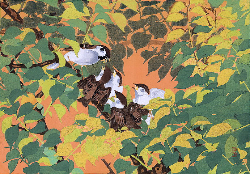 Rakusan.net home articles gallery links contact