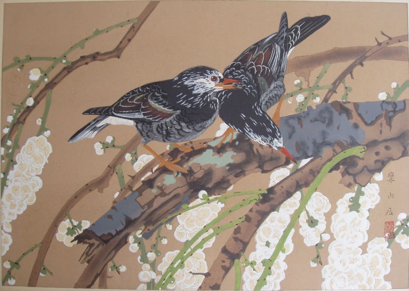 Rakusan.net home articles gallery links contact