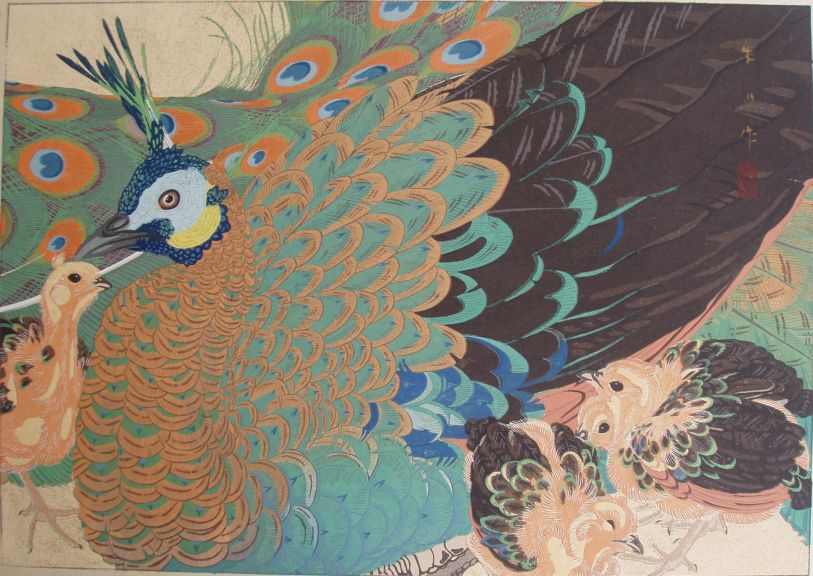 Rakusan.net home articles gallery links contact